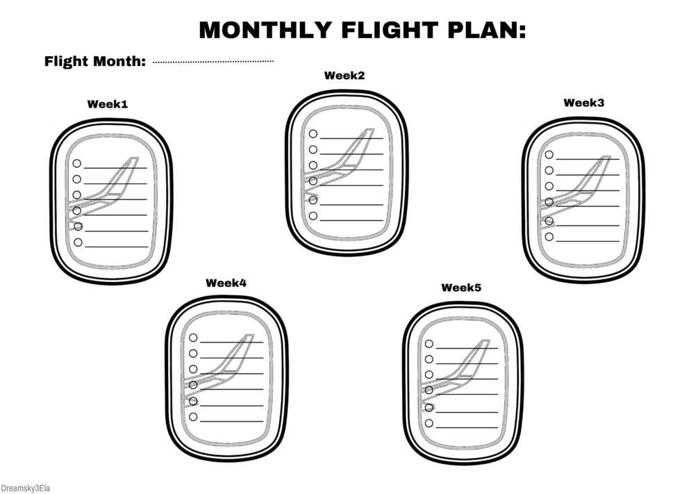Aviation planner