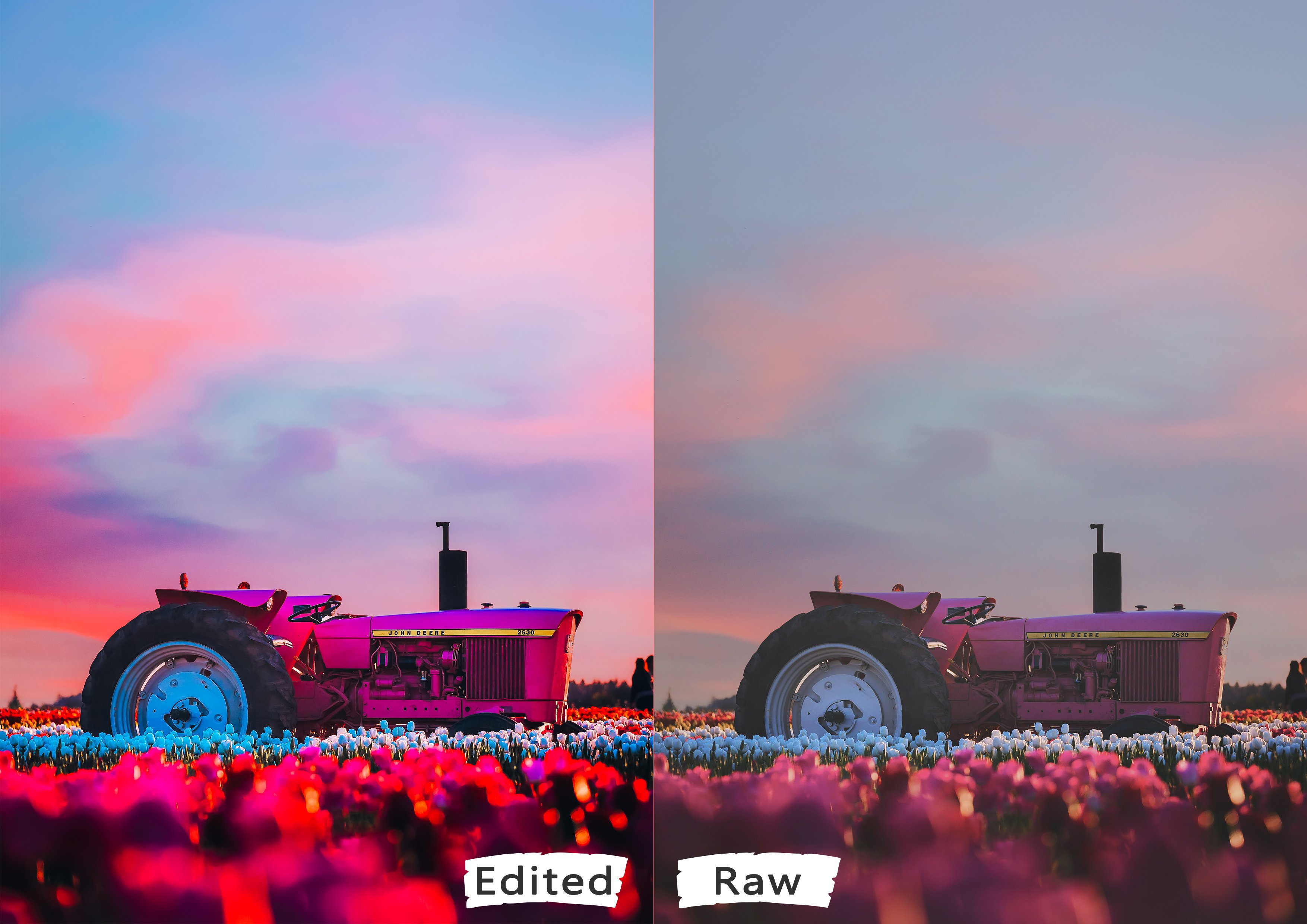 Spring Nature Premium Lightroom Presets & 2 Courses for Beginner to be ...