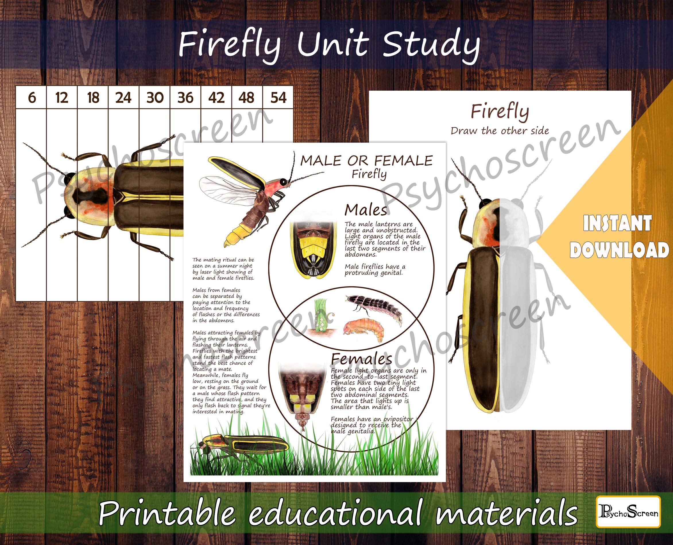 FIREFLY Unit Study: MEGA Printable fireflies set, Lighting bugs, insects