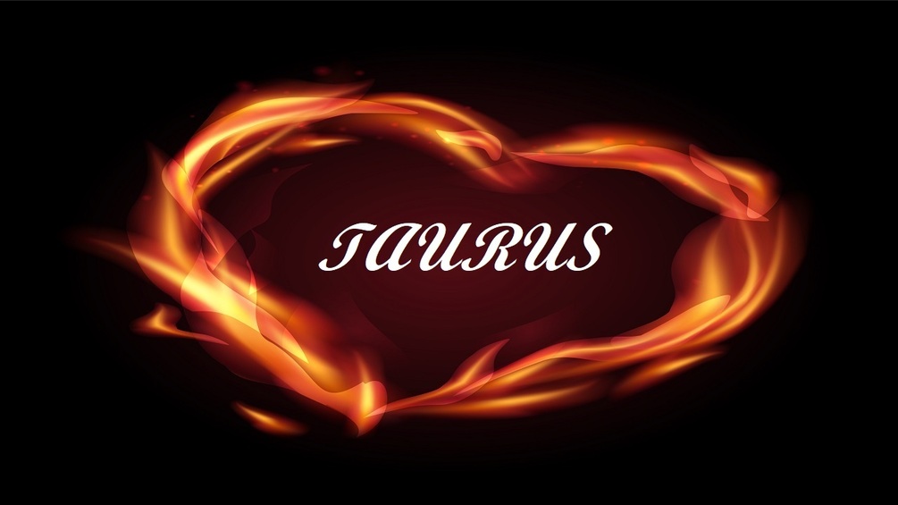 Taurus~Starting to Understand This Connection With You