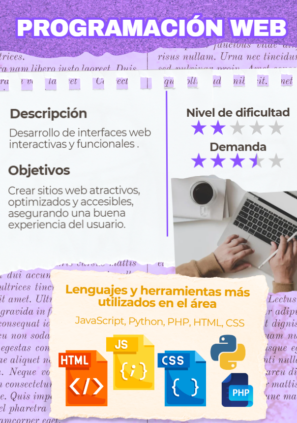 13 Áreas de Programación: lenguajes, beneficios y más