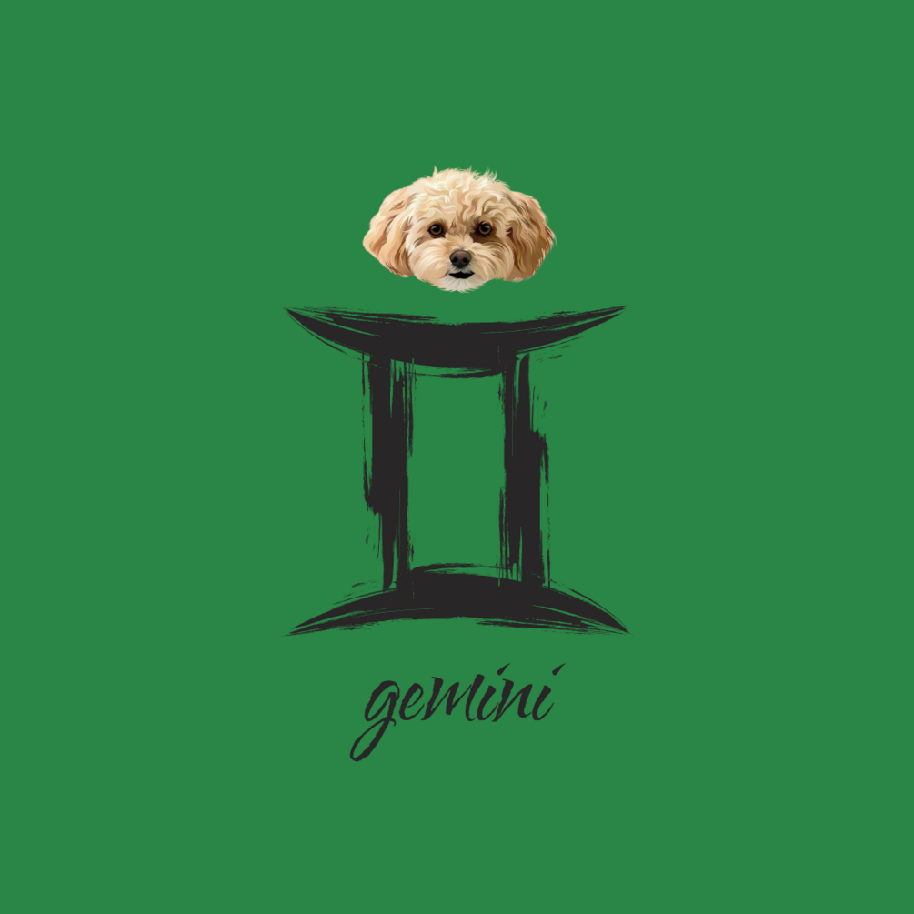 GEMINI: Mirror, Mirror! - DEEP DIVE