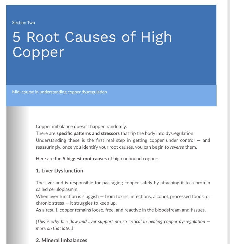 Understanding Copper Dysregulation - Mini Course - Balance your health ...