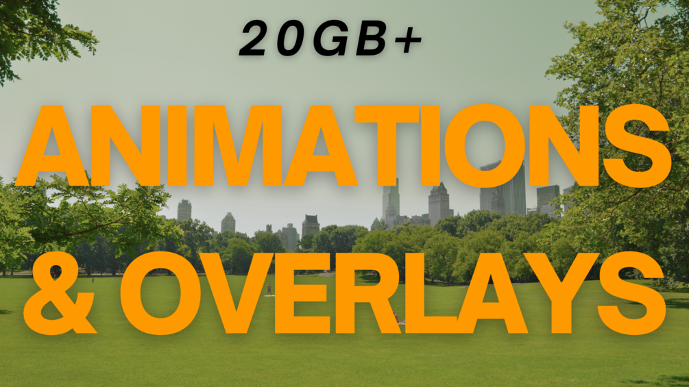 20+ GB of Professional Overlays & Animation Assets