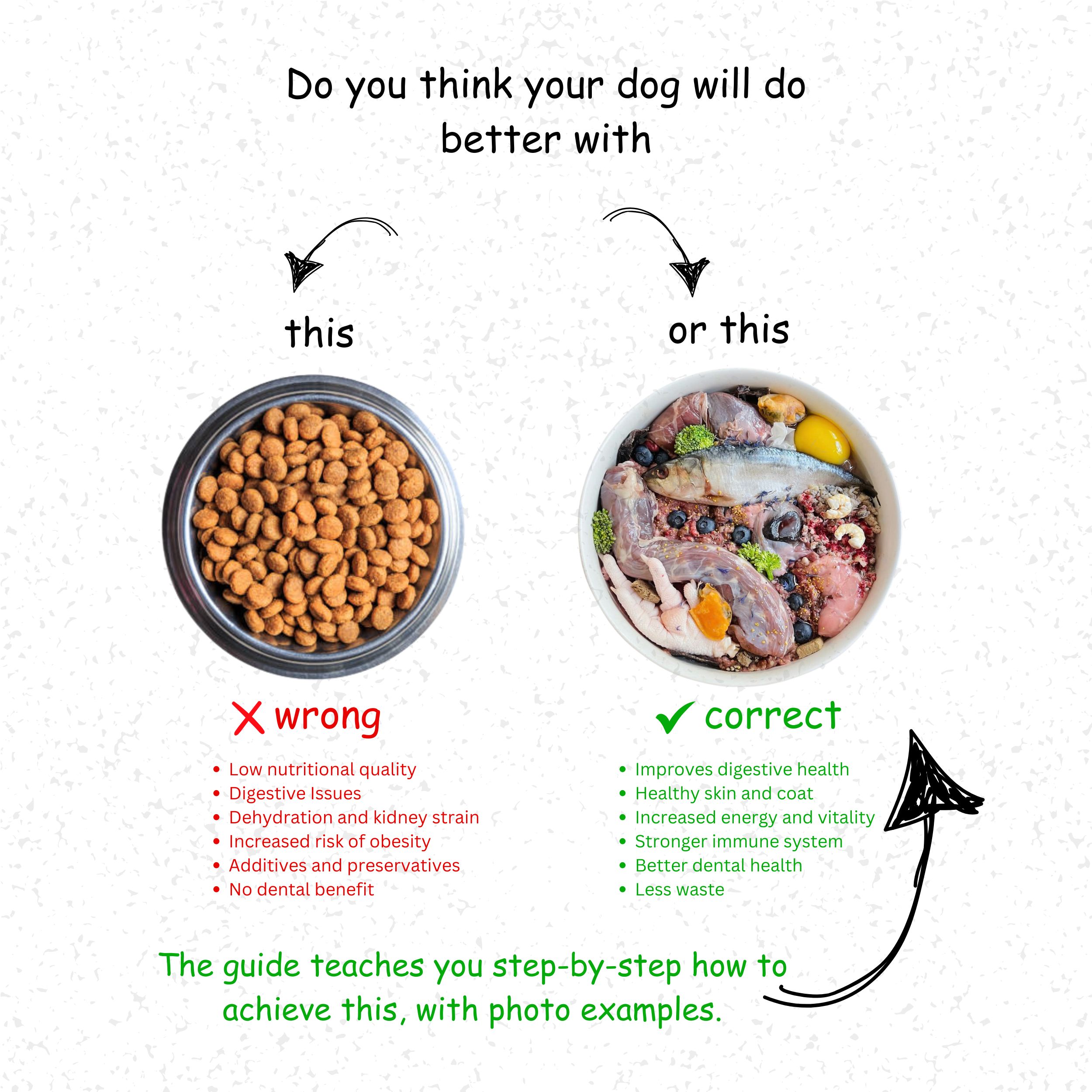 BARF: Raw Dog Feeding Nutrition Recipes | Raw Diet for All Breeds ...