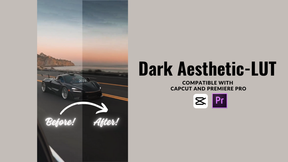 The Dark aesthetic LUT You need For your videos