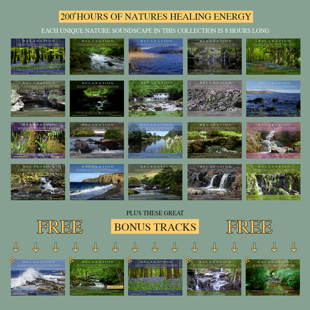 The Ultimate Collection - 20 Favourite Soundscapes + 5 Bonus Tracks