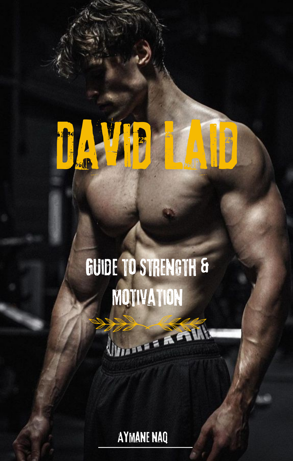 David Laid: The Ultimate Guide to Strength, Motivation, and Building a ...