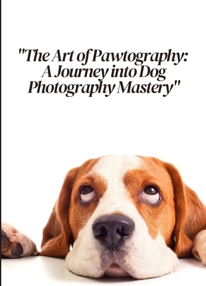 "The Art of Pawtography: A Journey into Dog Photography Mastery"