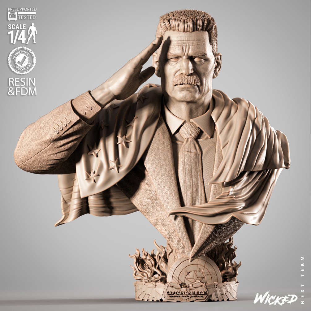 Wicked Marvel May 2025 Term Ross Portrait Bust: Tested and ready for 3D ...