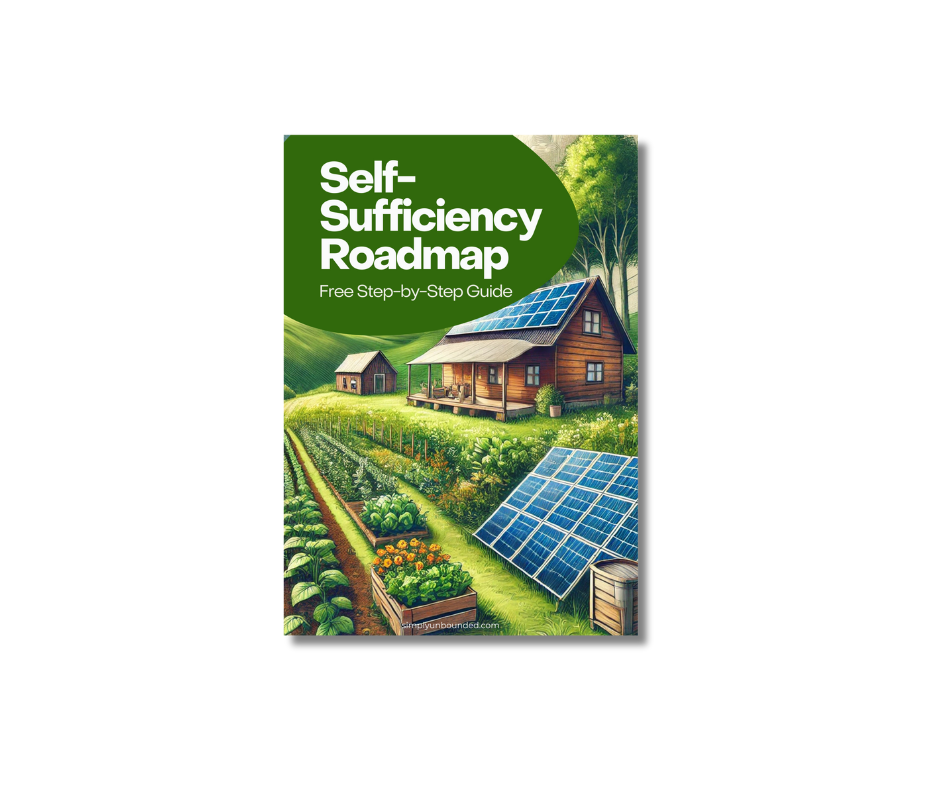 Self-Sufficiency Roadmap: Free Step-by-Step Guide