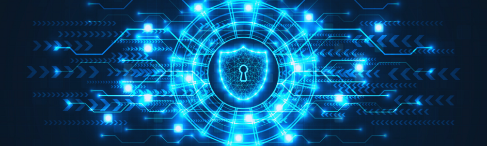 Software Installation Policy and Procedure