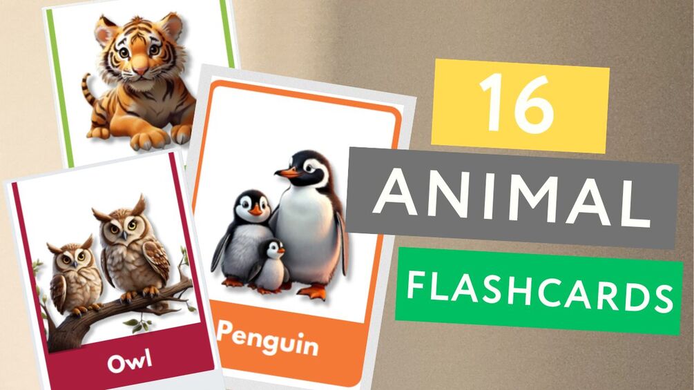 Animal name flash cards
