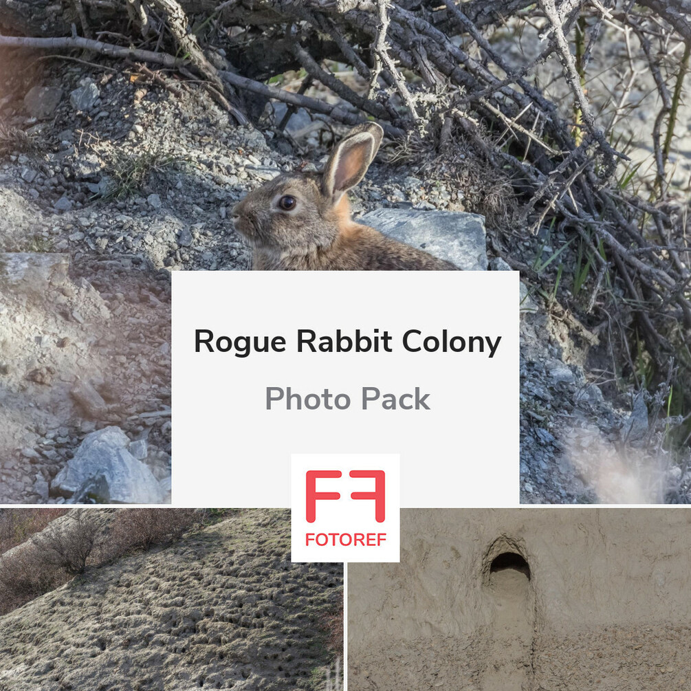 198 photos of Rogue Rabbit Colony