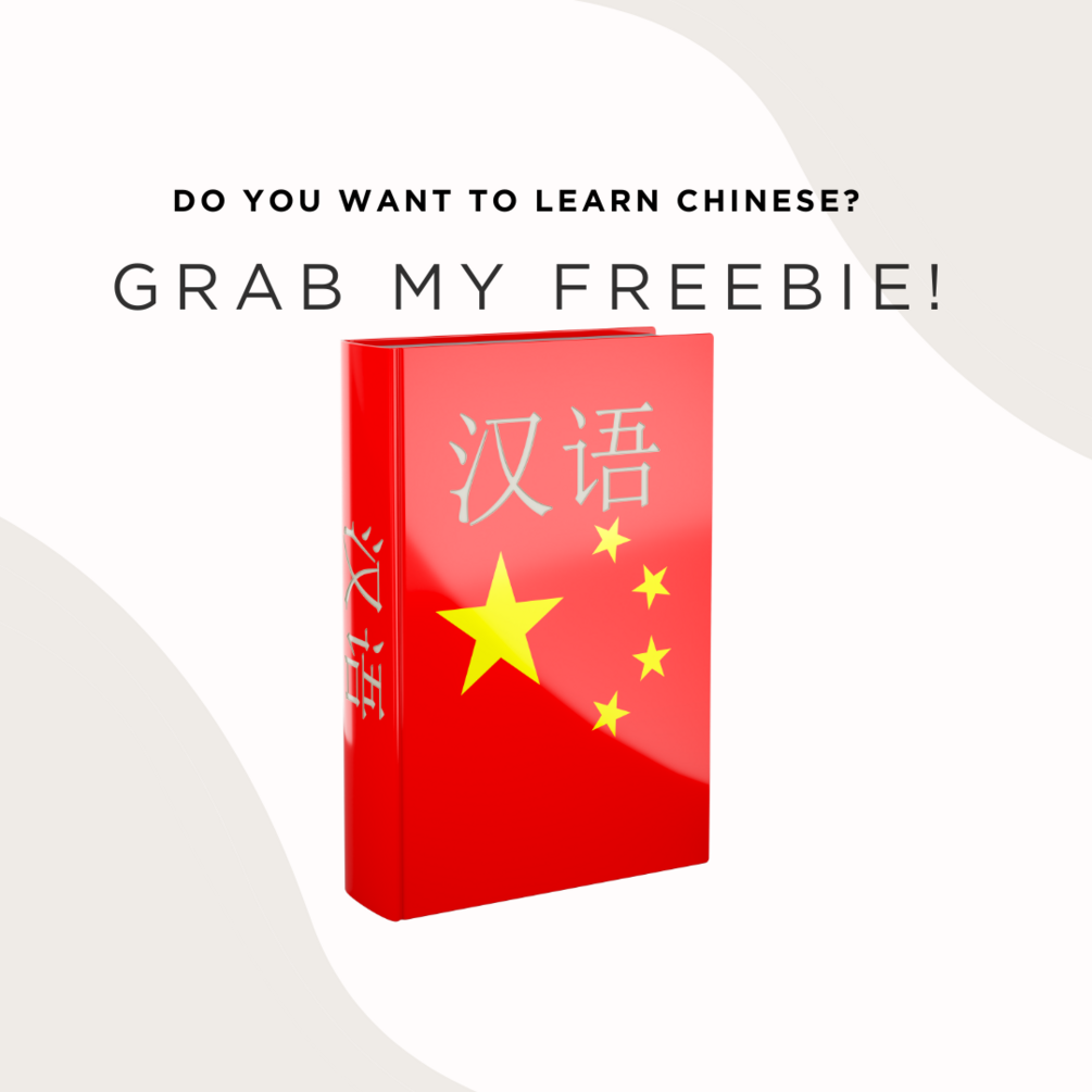 Chinese Learning Playbook