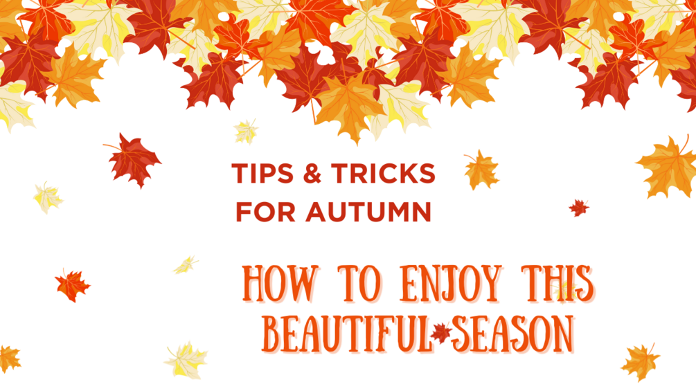 Tips and tricks for autumn/How to Enjoy This Beautiful Season