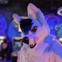 Maid Dress for Freakhound - VRChat