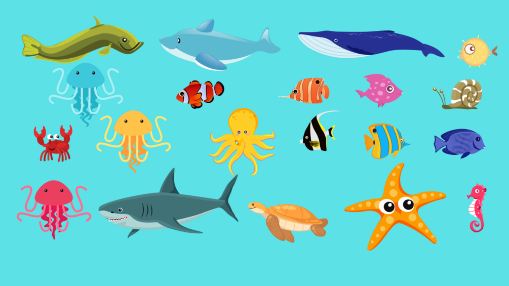 Green Screen Animated Marine Life | Underwater Aquatic Sea Animal Animation