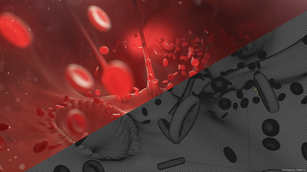 Medical Visual Animation Blood Cells (C4D+Octane) 3D Project02