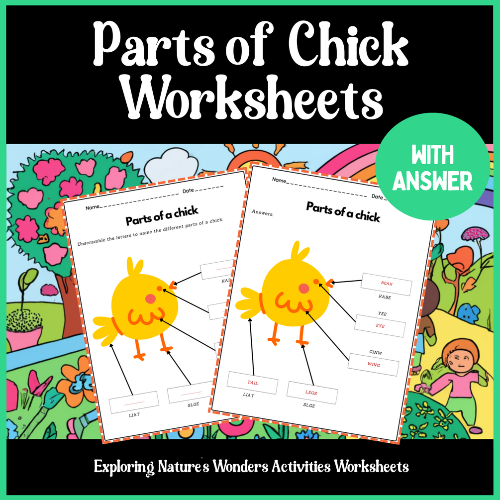 Chick Anatomy with Engaging Printable Worksheet