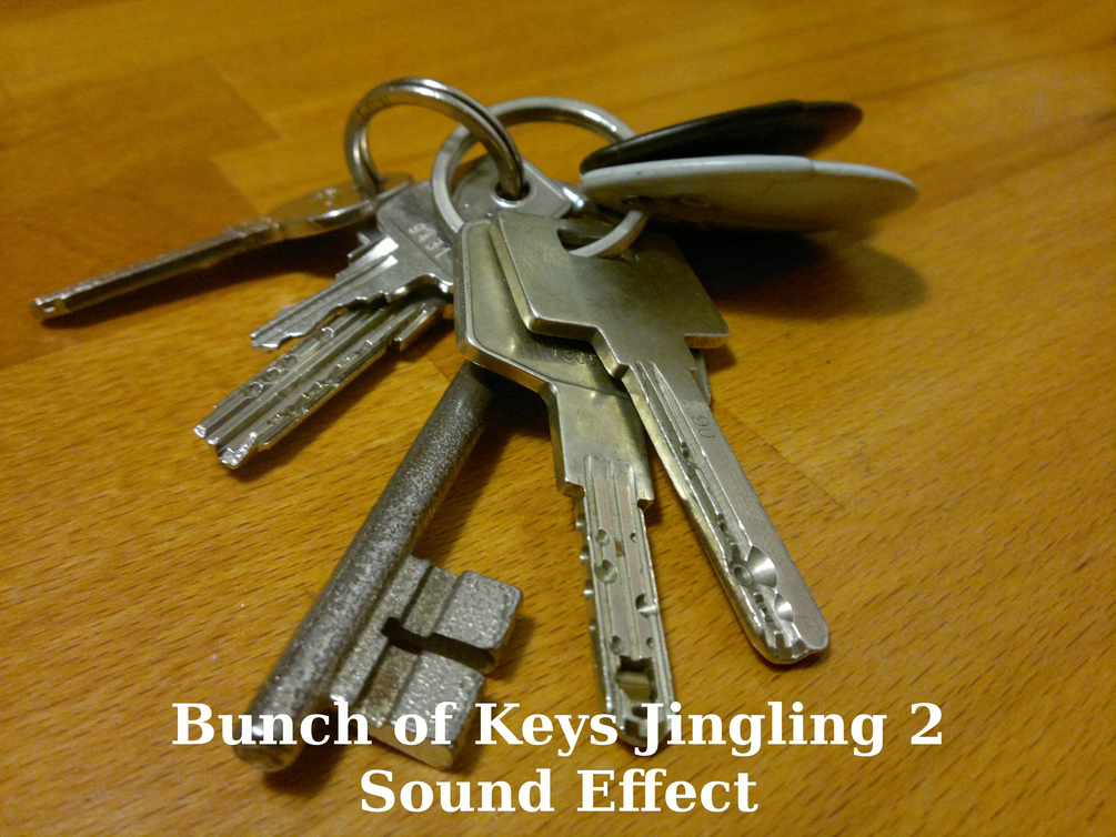 Bunch of Keys Jingling 2 - Sound Effect - mp3/320 kbps-wav/1411 kbps