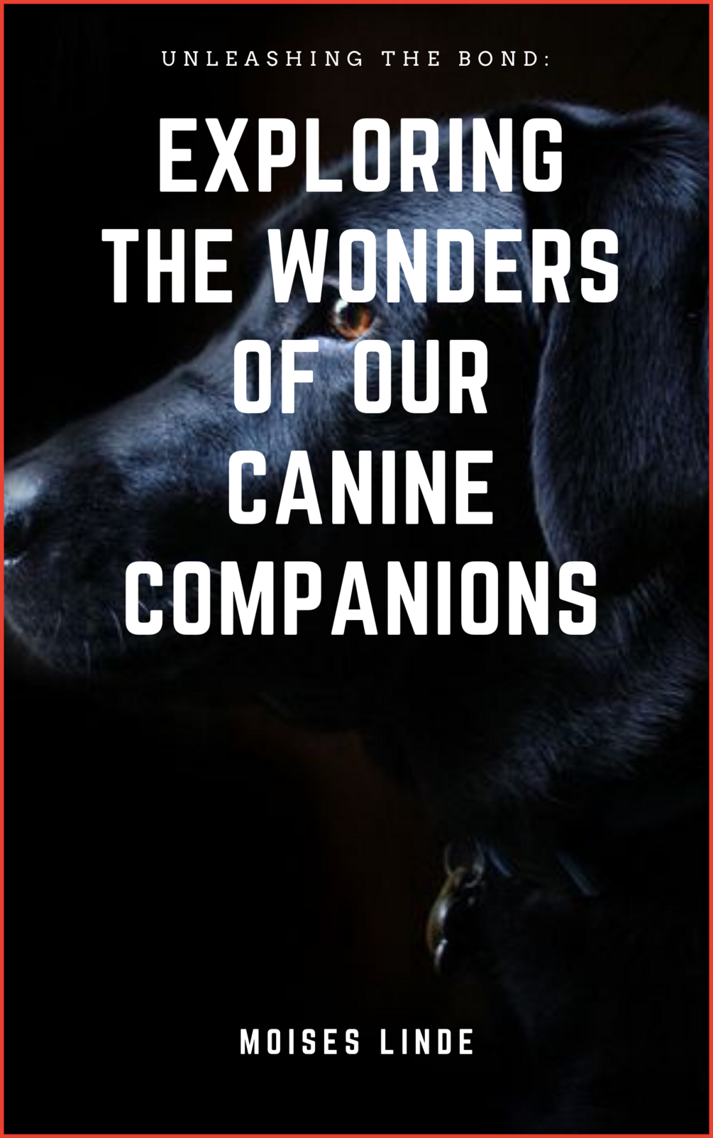 Unleashing the Bond: Exploring the Wonders of Our Canine Companions