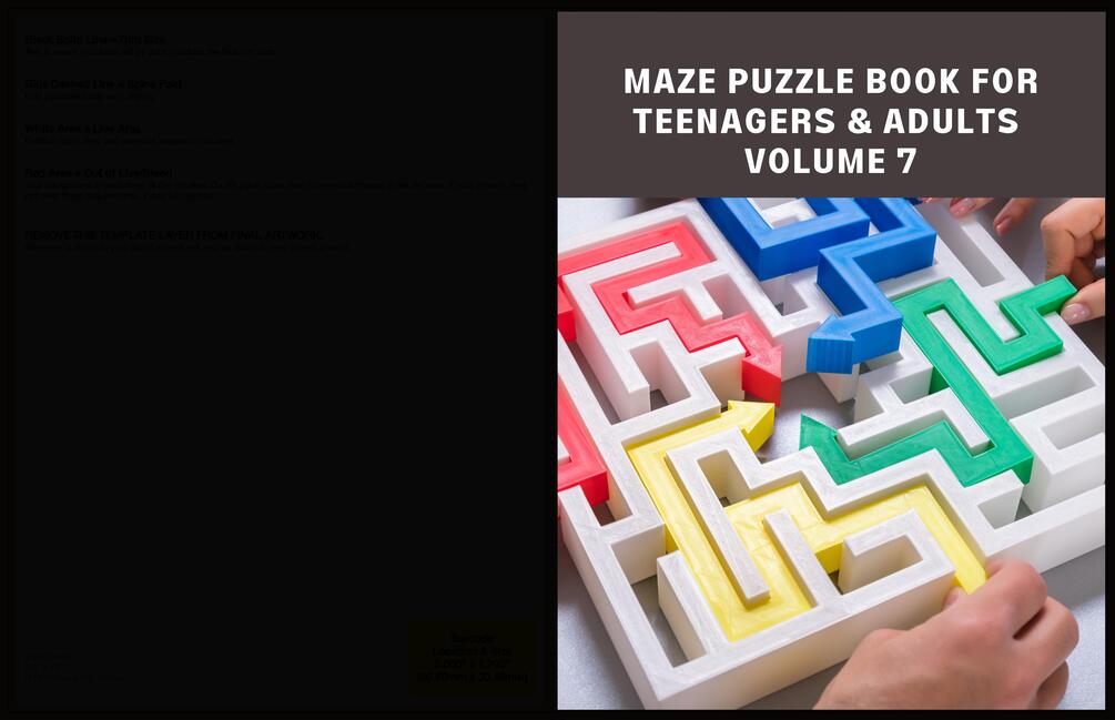 MAZE PUZZLE BOOK FOR TEENAGERS AND ADULTS VOLUME 7