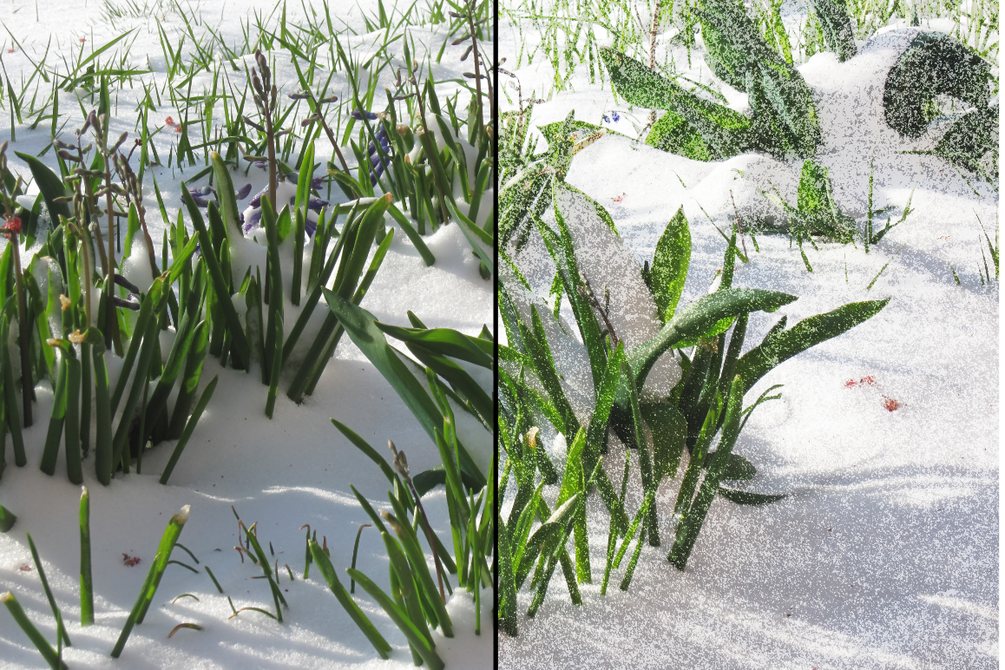 Snow Daze Vol. 1 Texture Pack