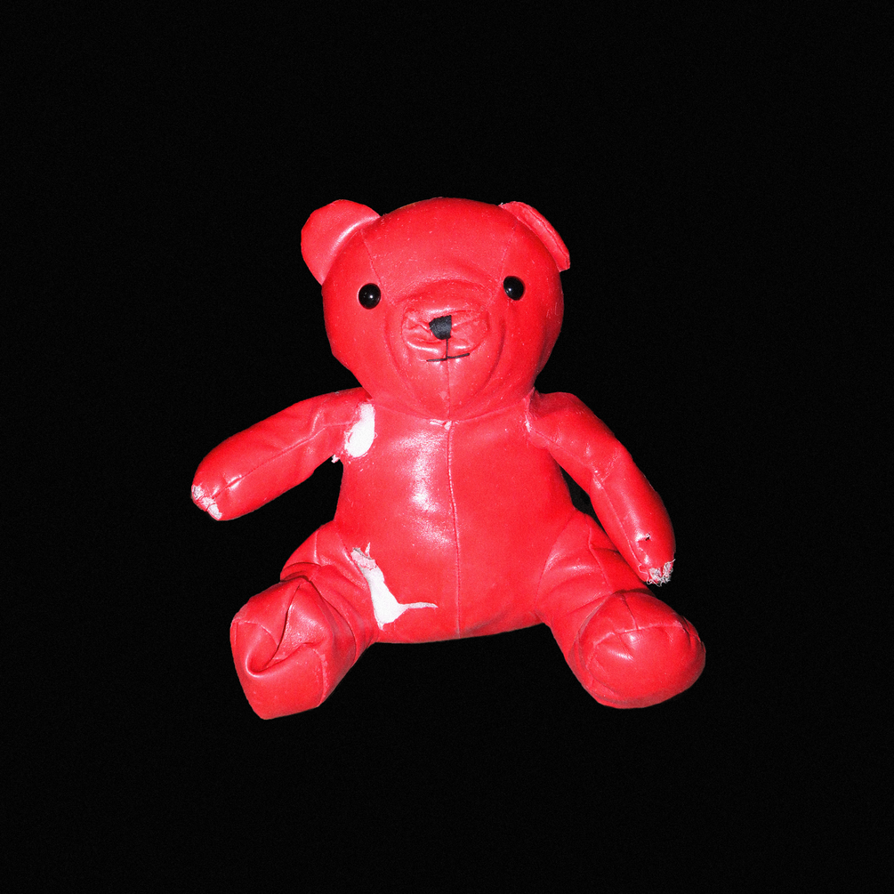 Teddy bear cover