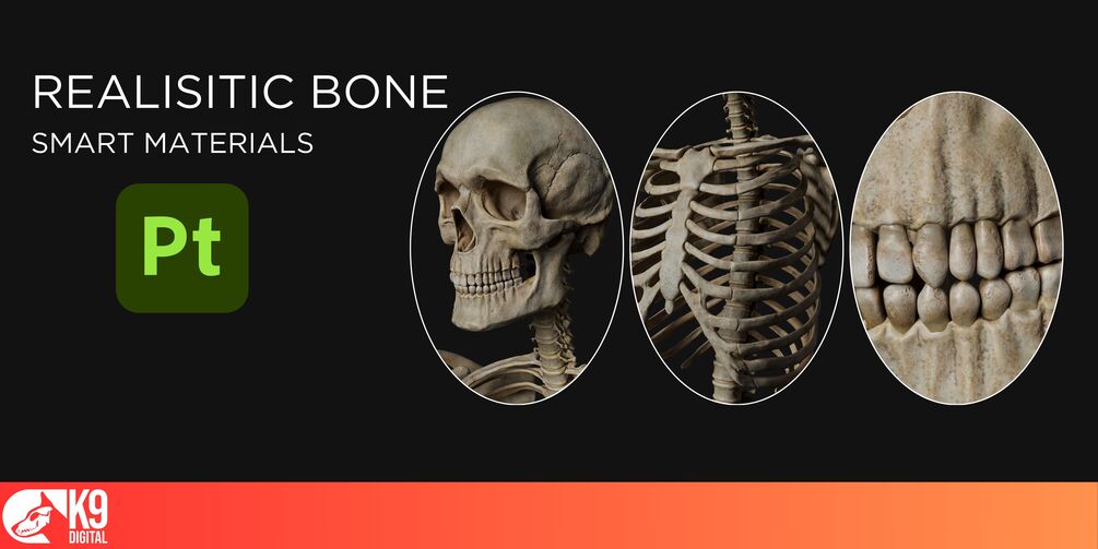 PBR Bone / Teeth - Smart Materials