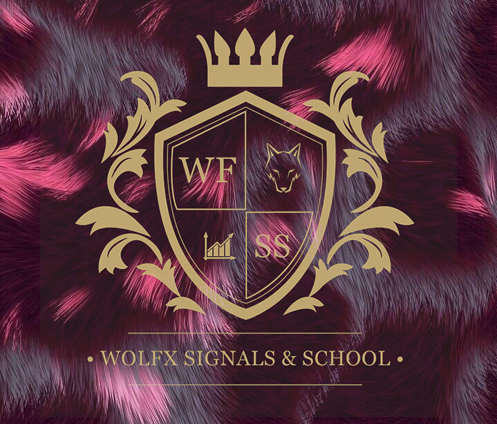 WOLFX SIGNALS & SCHOOL