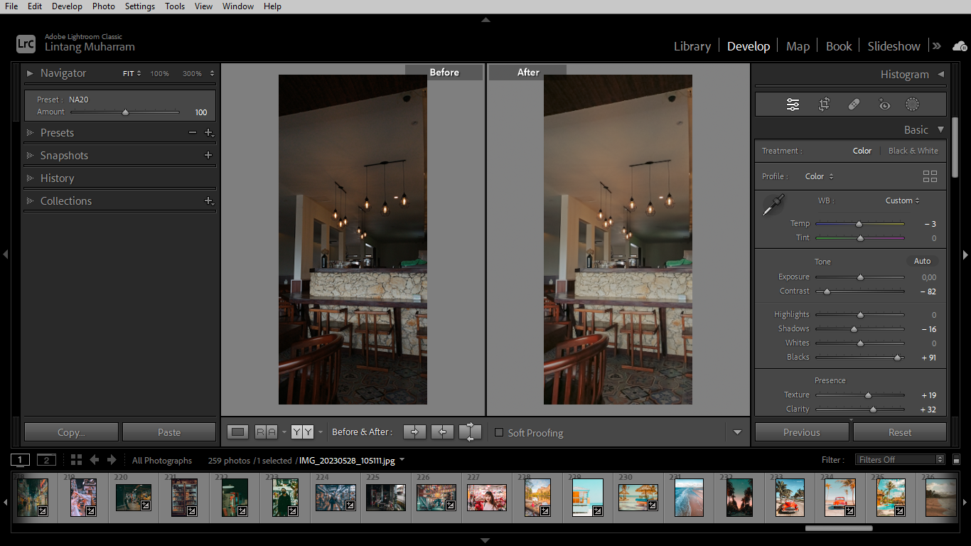 Mastering the Basics: A Beginner's Guide to Lightroom - LuminaPreset
