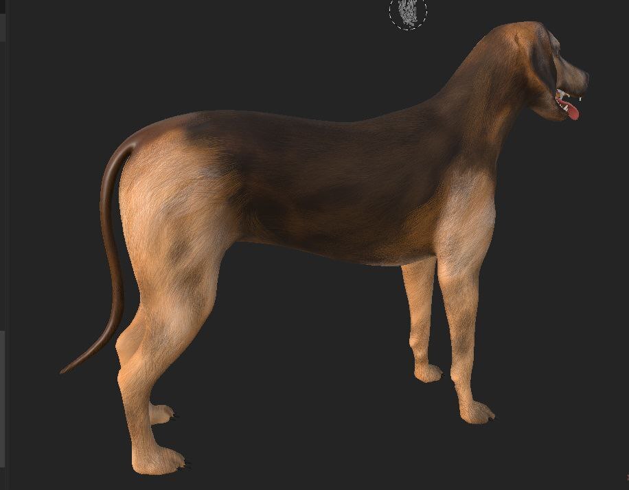 3D Animal Model, Creature, Rig, Xgen Hair, Fur, animal animation for ...