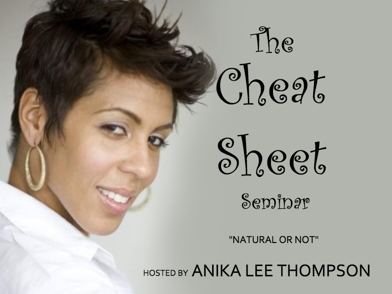 THE "CHEAT SHEET" SEMINAR WITH ANIKA LEE THOMPSON