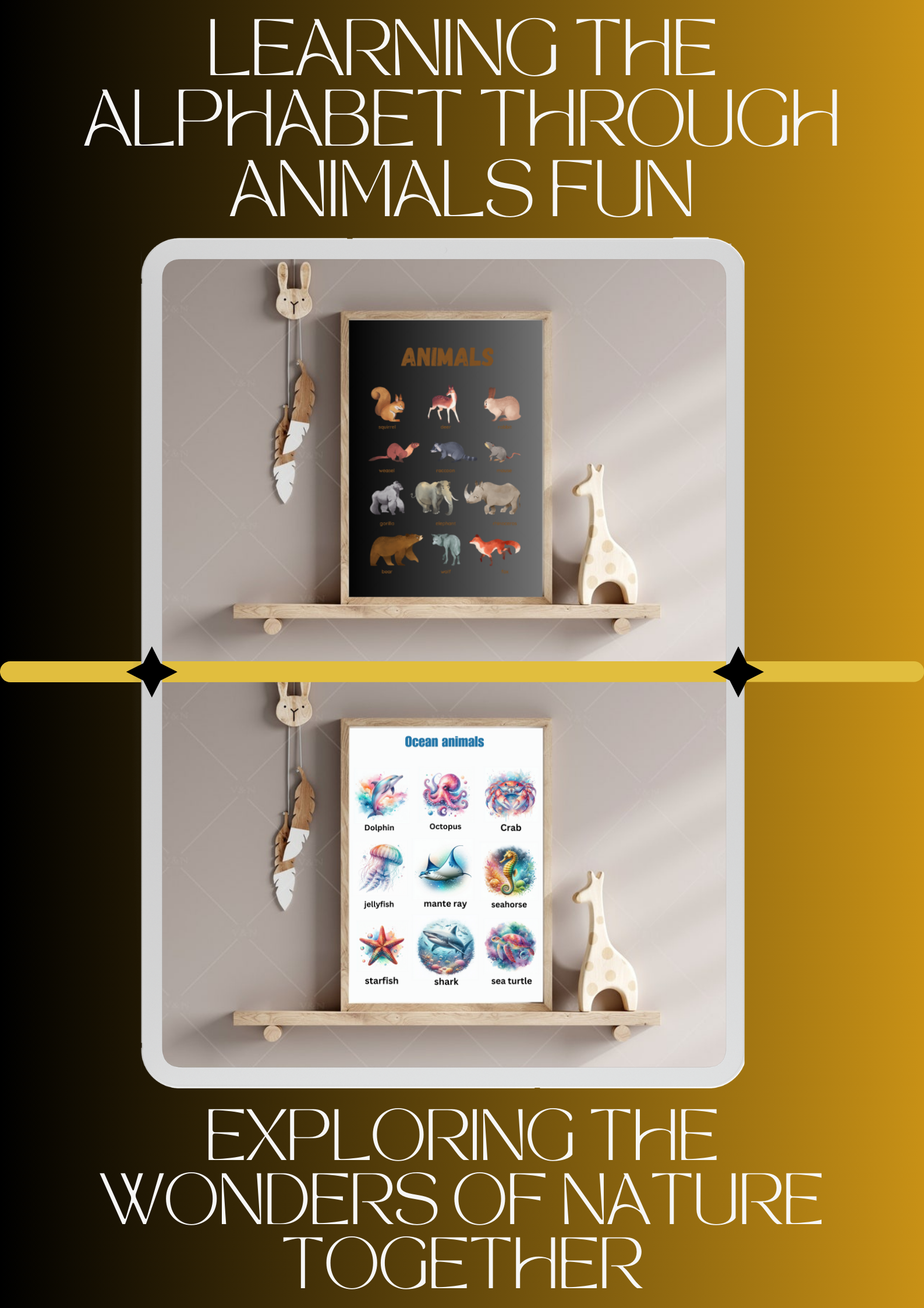 Set of educational posters