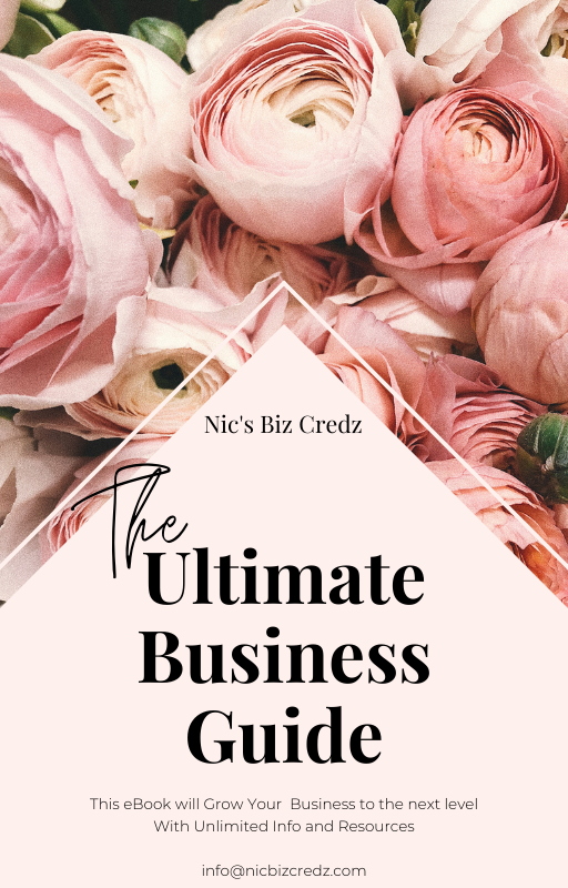 Ultimate Business Setup, Funding and Tradeline eBook