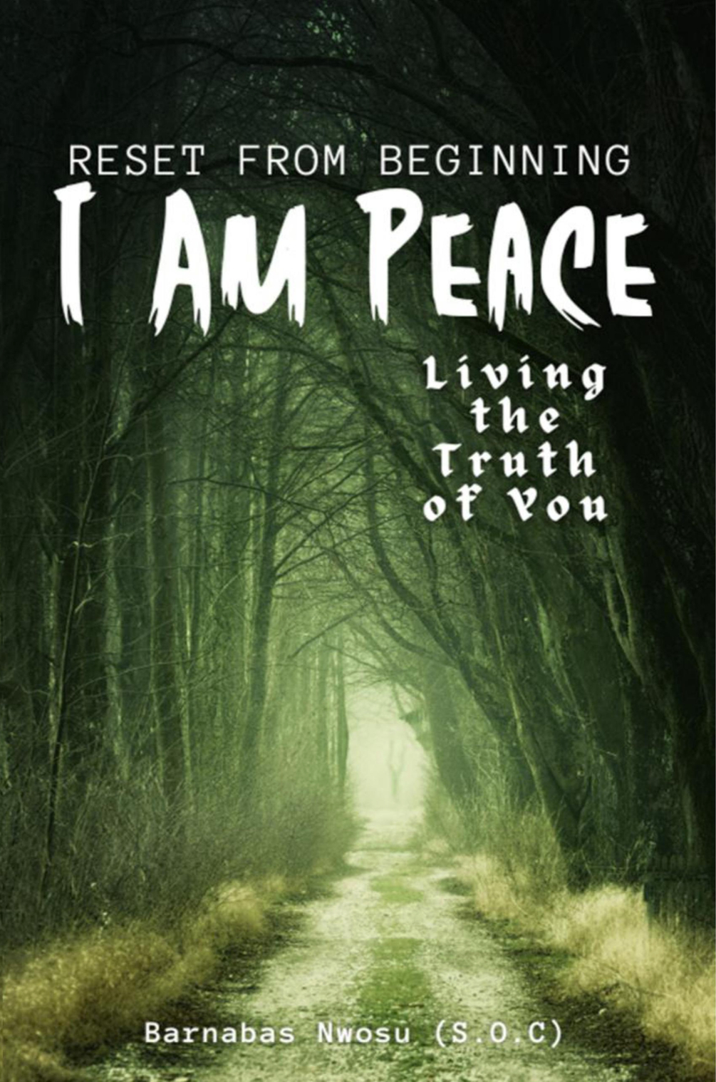 Reset From Beginning- I AM PEACE