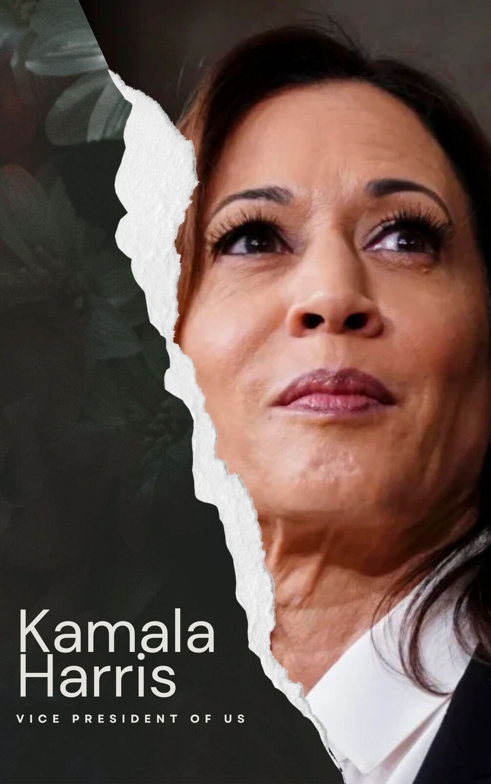 Kamala Harris: The Woman Who Changed the Game