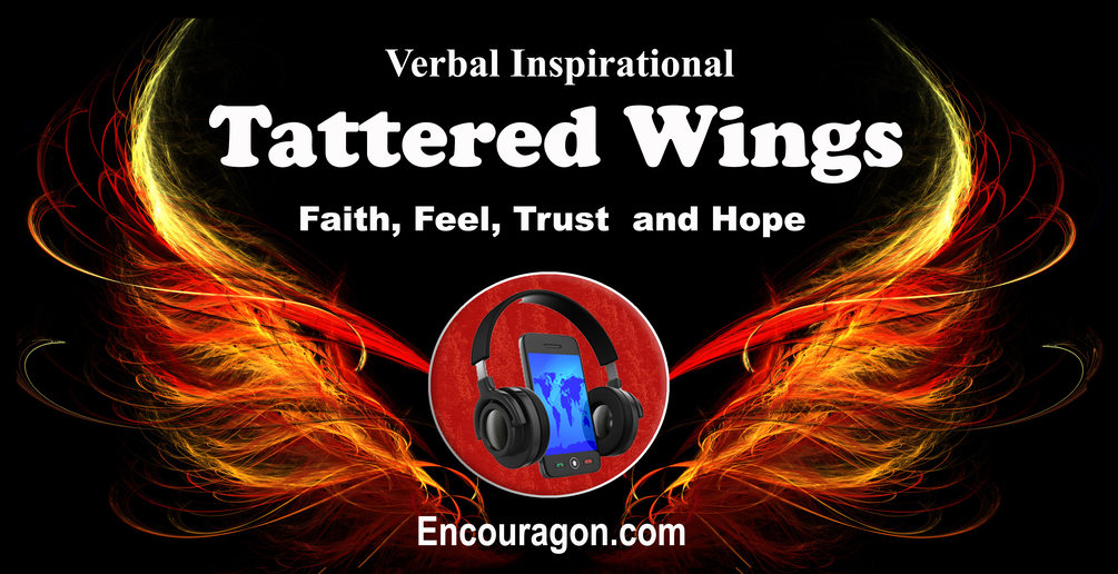 Tattered Wings MP3's