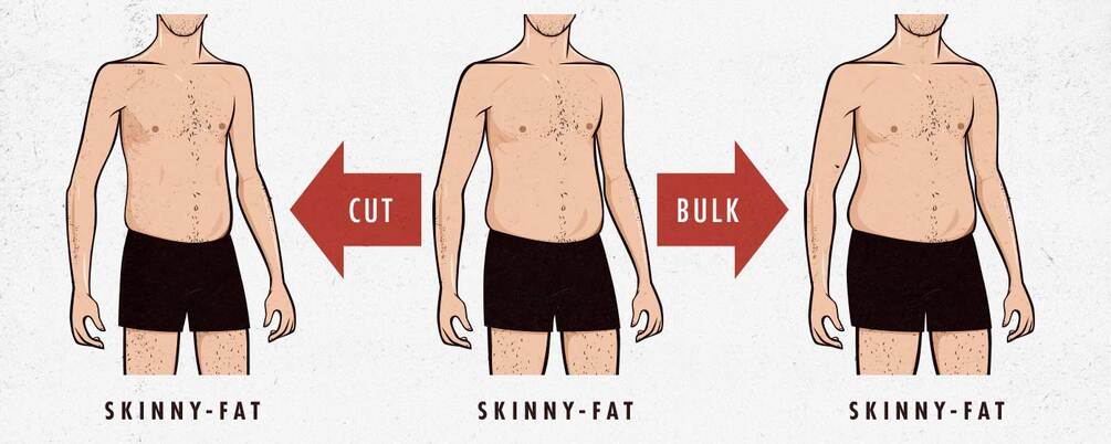 Skinny Fat Fix