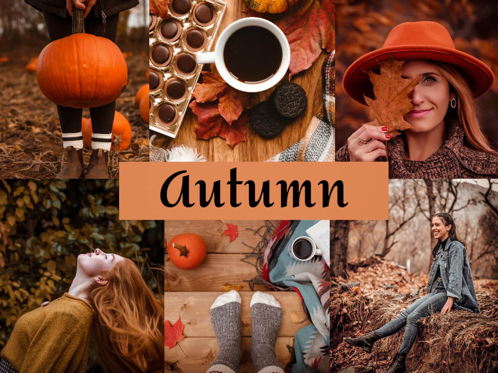 Autumn 16 Preset Pack | Lightroom (16 filters)