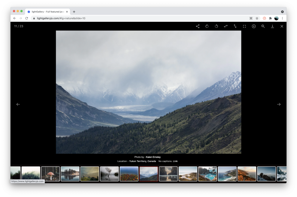 lightGallery Team License Custom