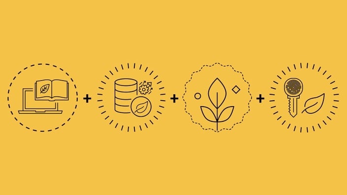 Learn Spring + Learn Spring Data JPA + REST With Spring + Learn Spring Security: Master Class