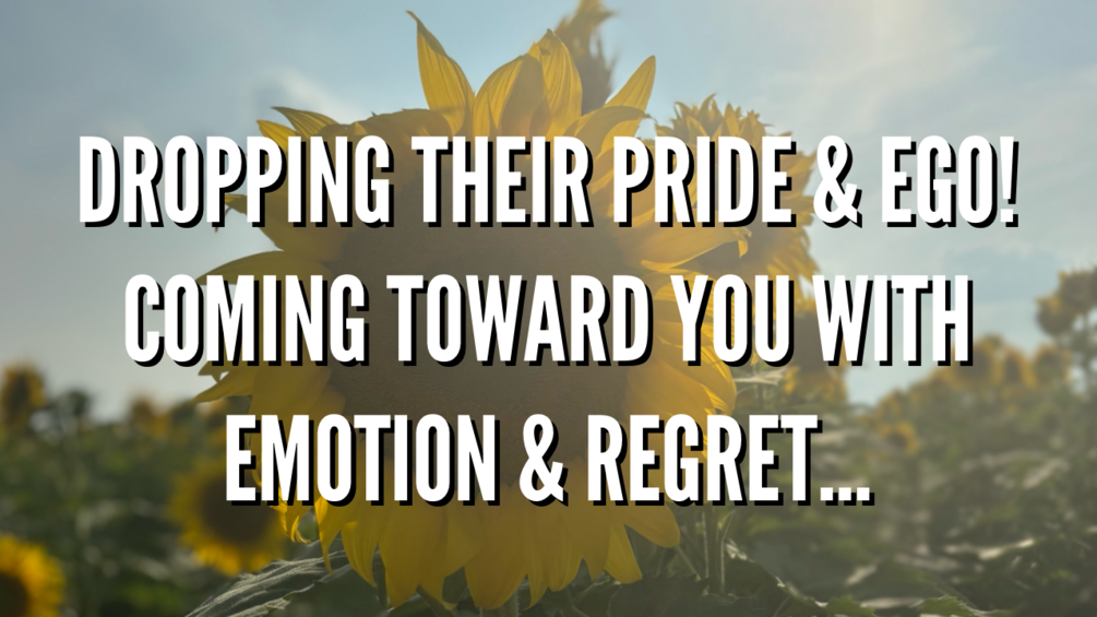 SAGITTARIUS • Dropping their pride & ego! Coming toward you with ...