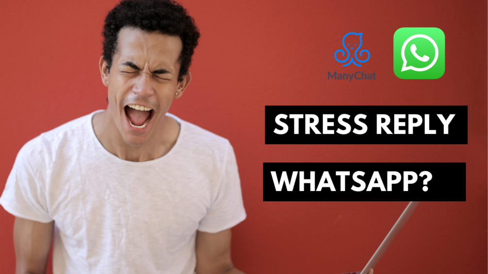 Ultimate Guide Manychat for WhatsApp