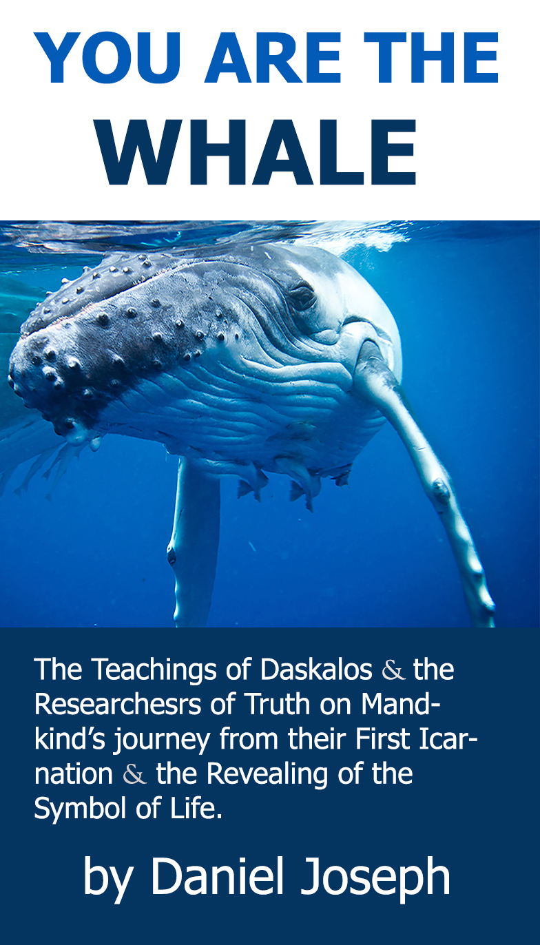 You Are The Whale - The Teachings of Daskalos on Mankind's Journey From ...