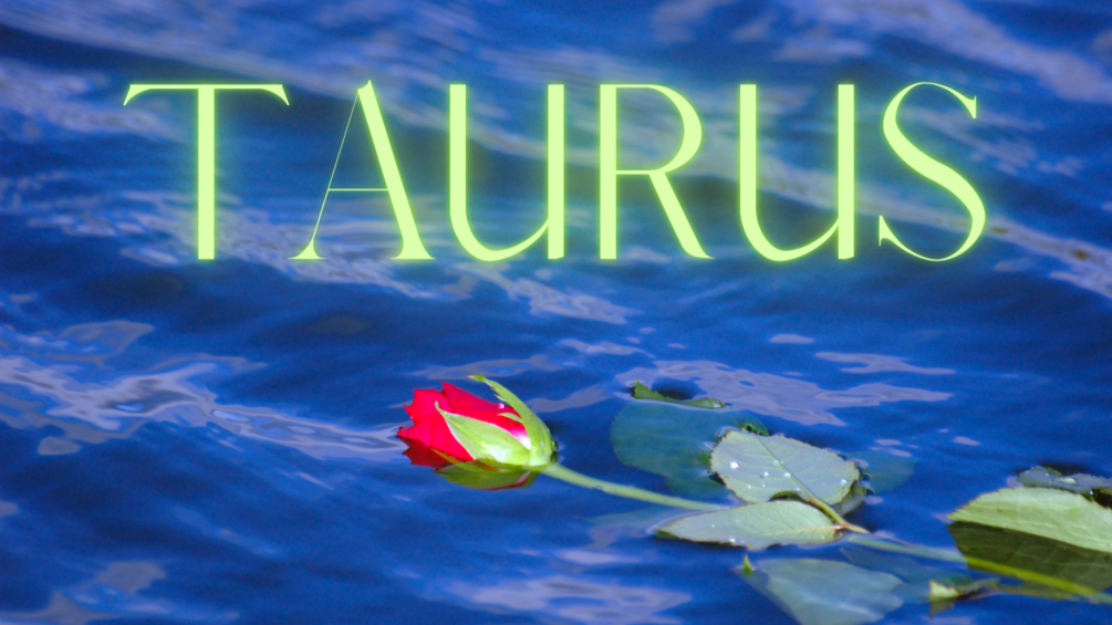 Extended Reading: Taurus "Person on Your Mind" 🌹You both know this is ...