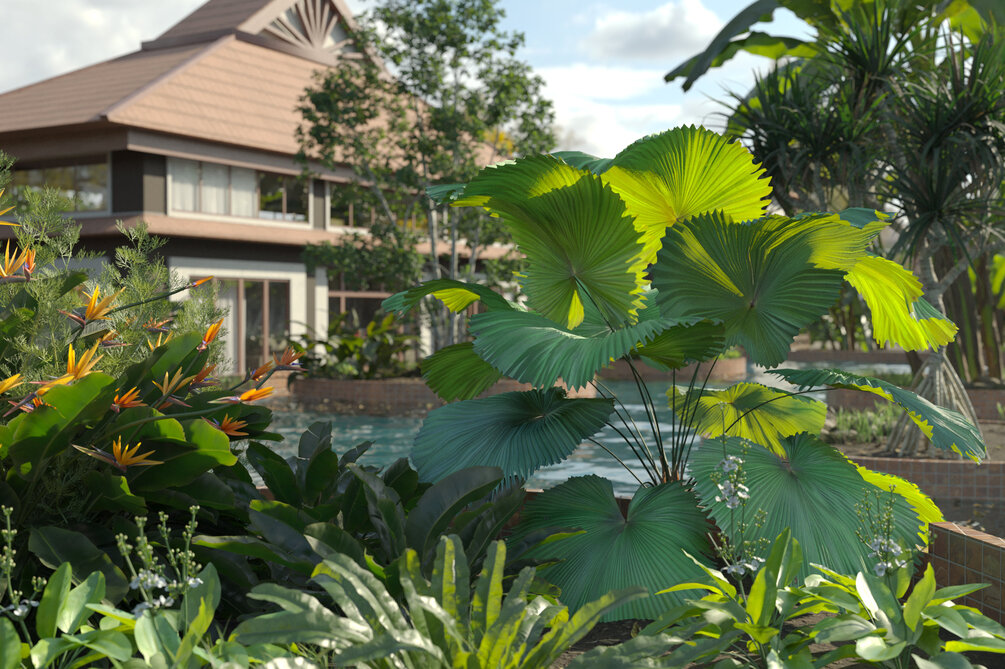 Maxtree Plant Models Vol 72