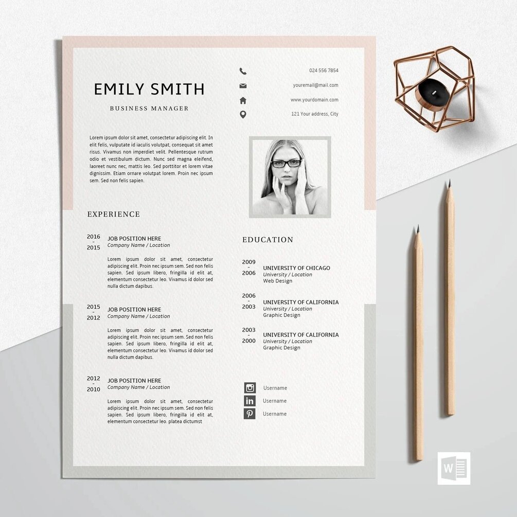 Professional Resume Template Word - Professional Resume Layout ...