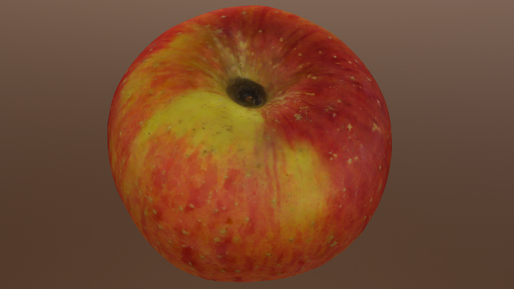 Photo Geometry_Apple
